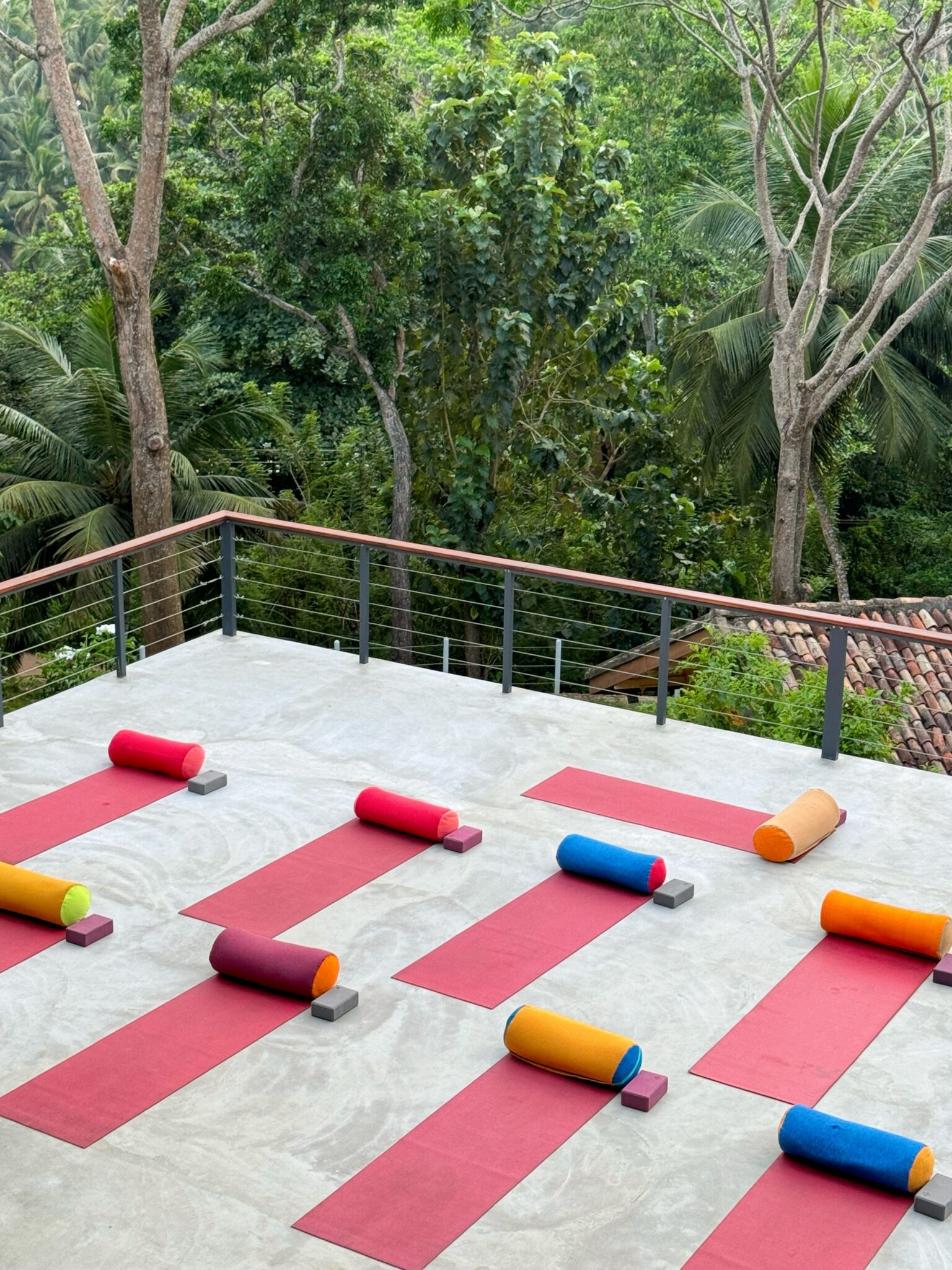 Meet Rosie Parton – Founder of Funky Cactus Yoga – HARNESS