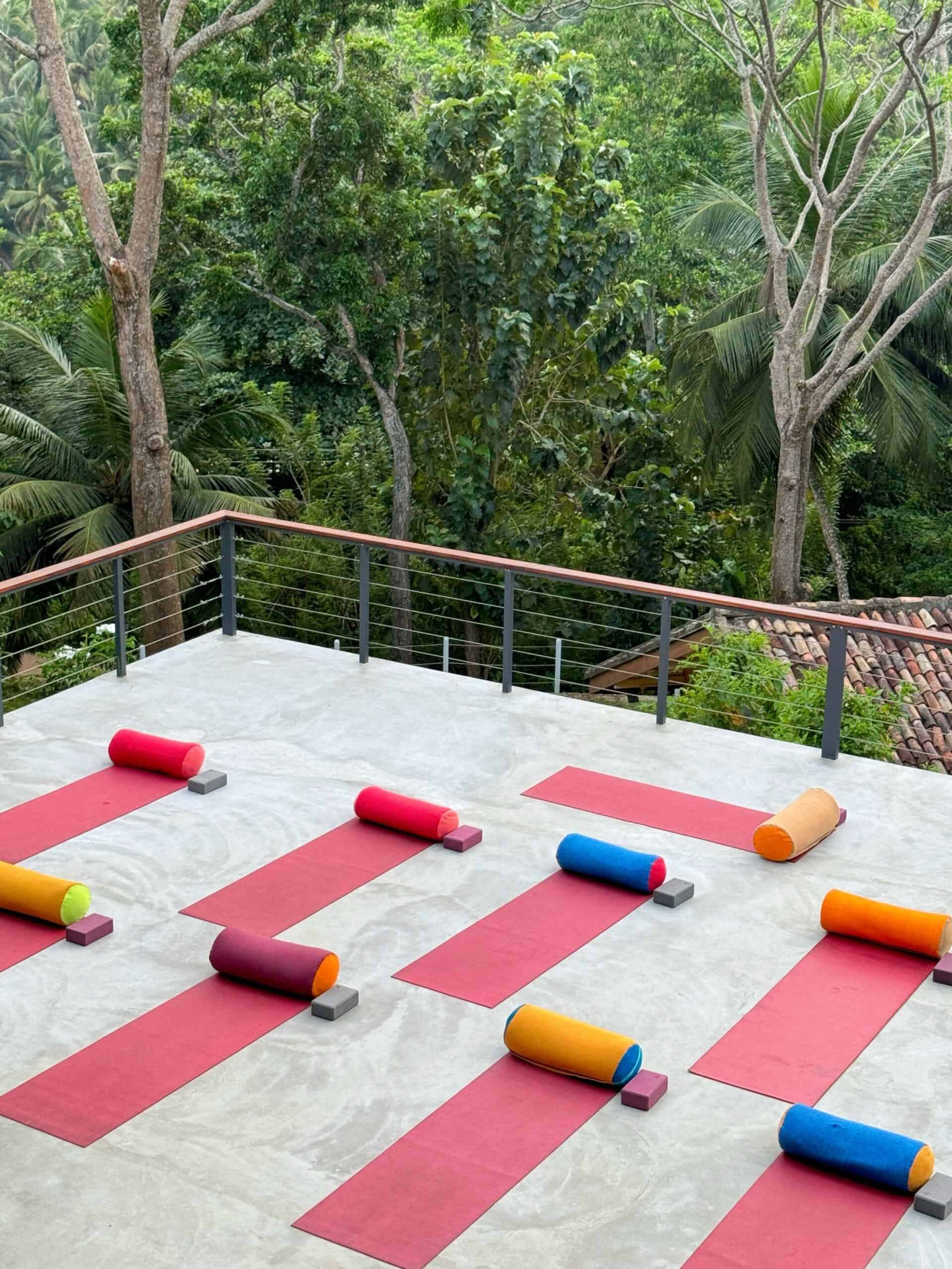 Meet Rosie Parton – Founder of Funky Cactus Yoga – HARNESS